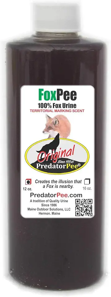 Do Foxes Spray? Unraveling The Mystery Behind Fox Scent Marking | PetShun