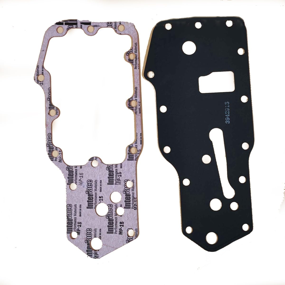 Amazon.com: Oil Cooler Gaskets Set BLKPRO OEM Replacement for 5.9L ...