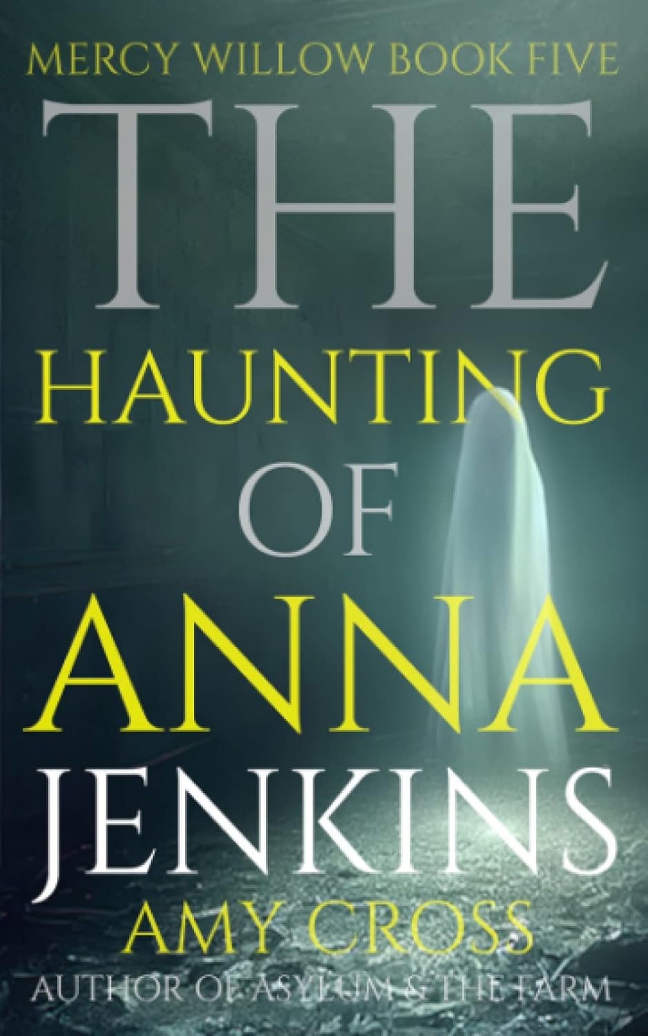 The Haunting of Anna Jenkins (Mercy Willow): Cross, Amy: 9798373042291 ...