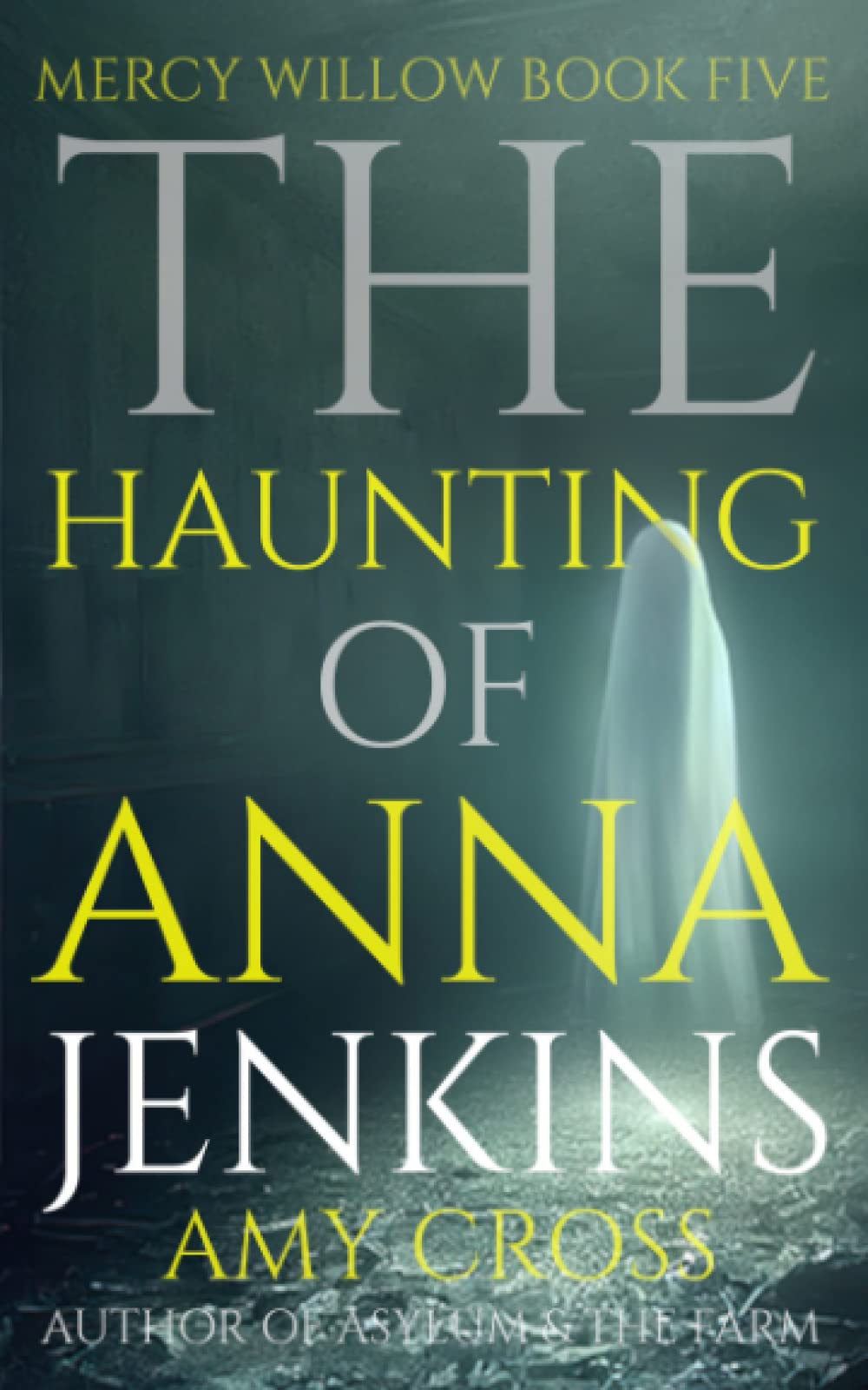 The Haunting of Anna Jenkins (Mercy Willow): Cross, Amy: 9798373042291 ...