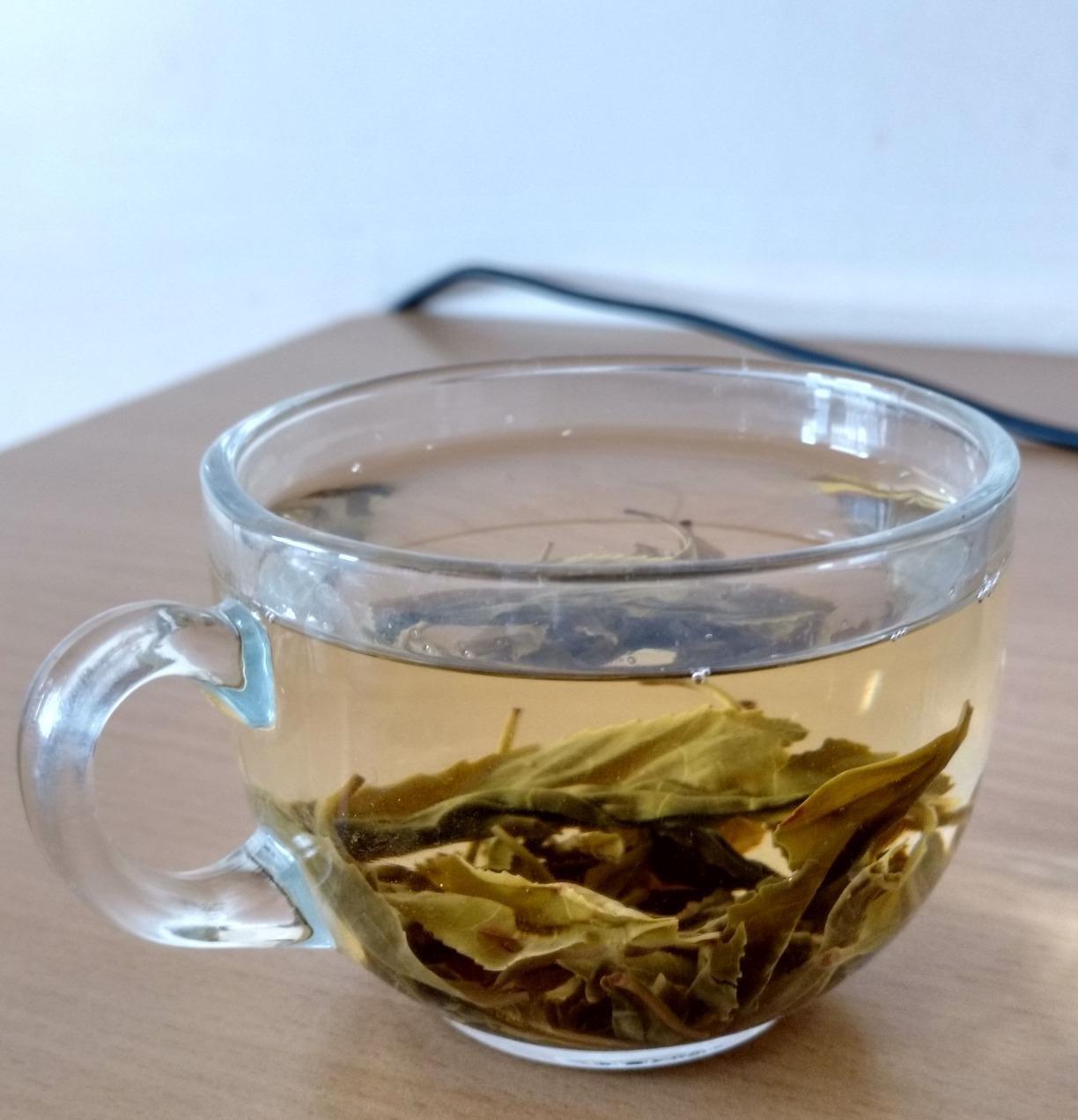 Ootea Certified Organic Long Leaf Green Tea, 100 g : Amazon.in: Grocery ...