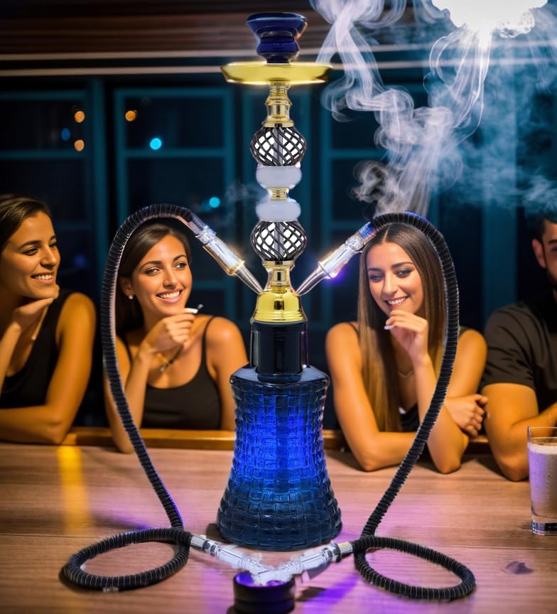 Amazon.com: Portable Travel Hookah Set 2 Hoses With Everything ...