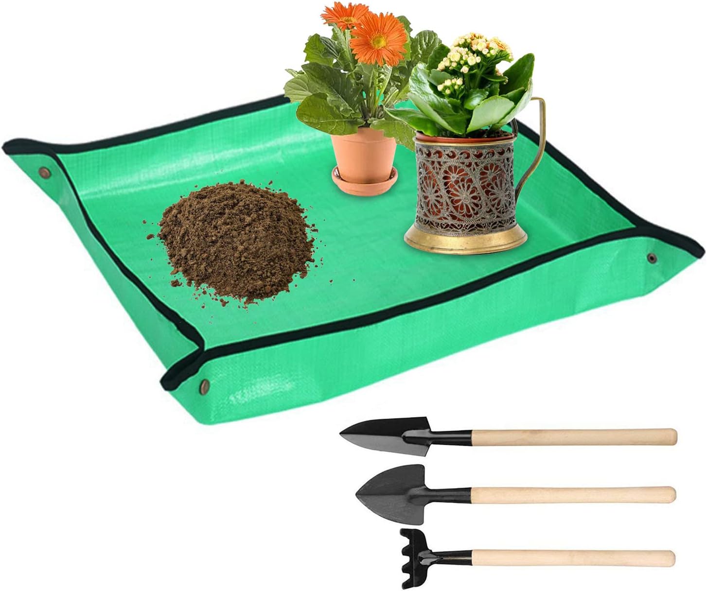Amazon.com : Set of 4 Succulent Tools Kit, Indoor Garden Tool, Hand ...