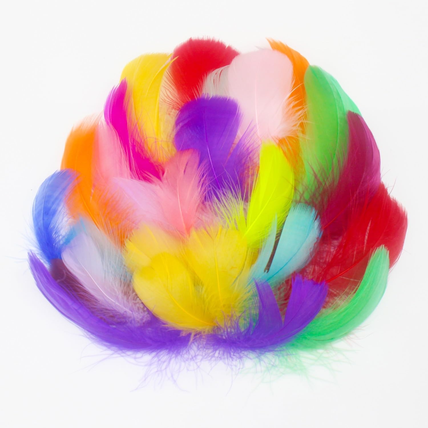 Amazon.com: Feathers, Feathers for Crafts Colorful Goose, feather ...