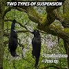 Amazon.com: Lewtemi 2 Pcs 17 Inch Realistic Hanging Dead Crows Decoy ...