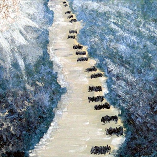 Amazon.com: Anonymous Return : Rob Moretti: Digital Music