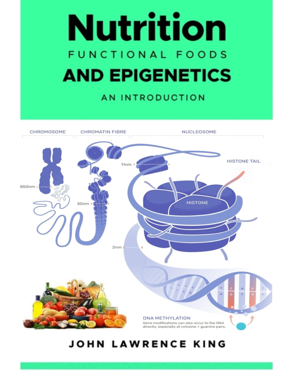 Nutrition, Functional Foods and Epigenetics: an Introduction : King ...