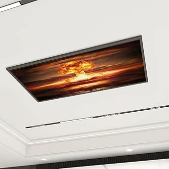 AFWADFWA Decorative Fluorescent Light Covers for Ceiling Lights ...