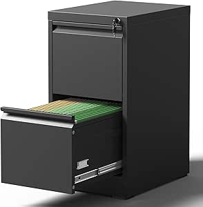 Amazon.com: Yukimo 2 Drawer File Cabinet with Lock, Vertical File ...