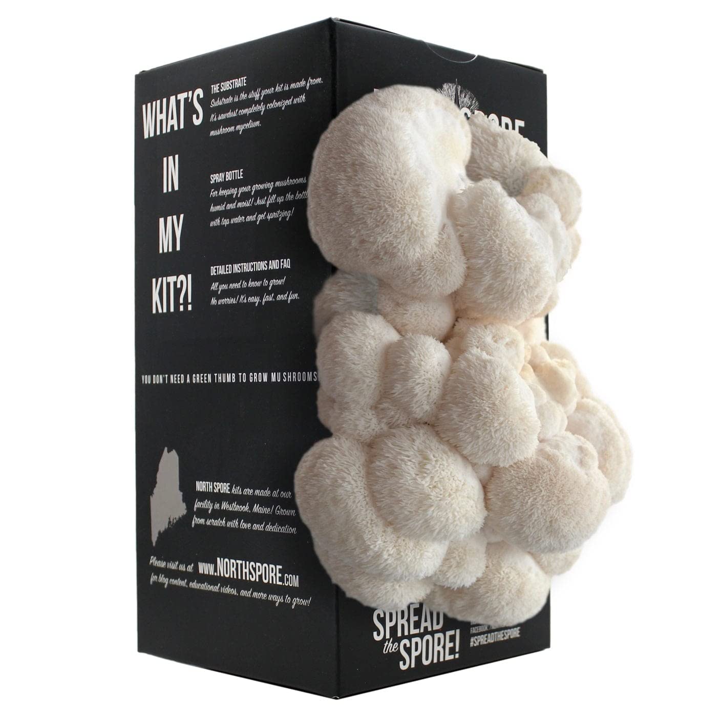 Buy North Spore Lion's Mane Mushroom Spray & Grow Kit (4 lbs ...