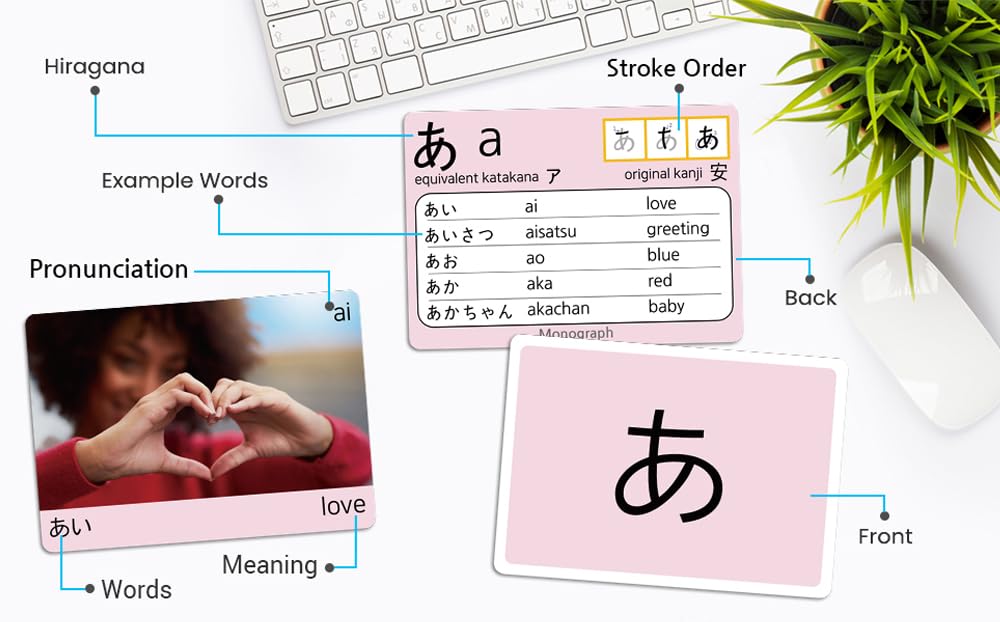 Snapklik.com : Spedemy Hiragana Flash Cards - 266 Japanese Vocabulary ...