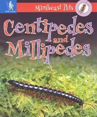 Millipedes and Centipedes (Minibeast Pets): Greenaway, Theresa ...