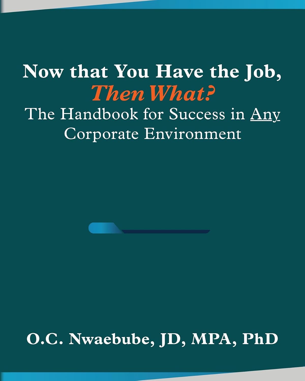 Now that You Have the Job, Then What?: The Handbook for Success in Any ...
