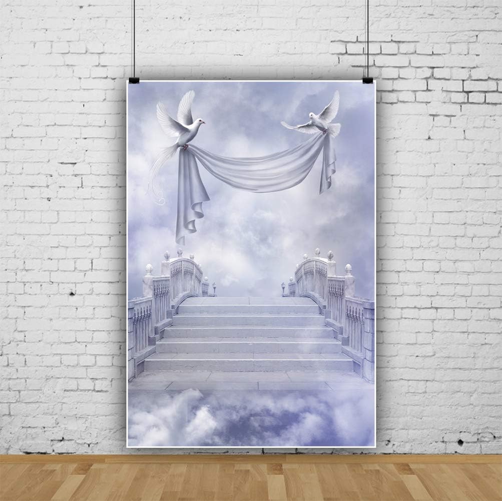 5x7ft Stairway to Heaven Backdrop - Paradise in the Philippines | Ubuy
