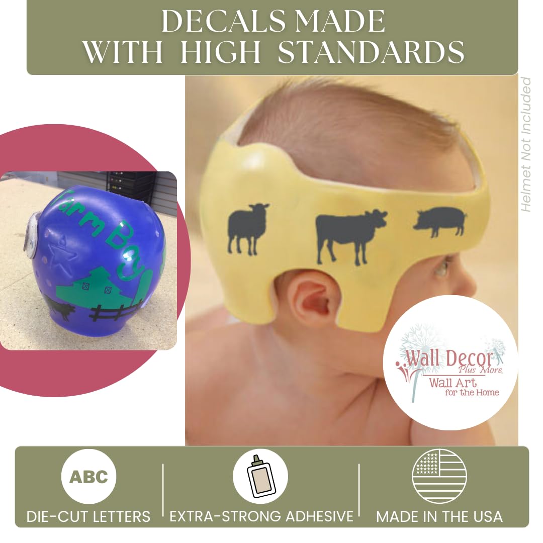 Cranial Helmet Decorating Backwards Hat Cranial Band Design