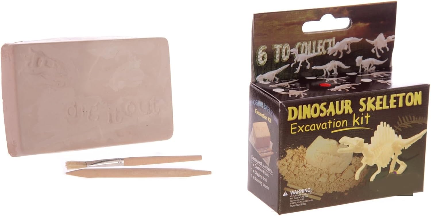 Amazon.com: Big Bargain Store Small Dinosaur Skeleton Excavation Kit ...