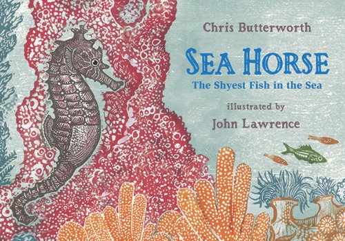 Seahorse: The Shyest Fish in the Sea (Read and Wonder): Amazon.co.uk ...