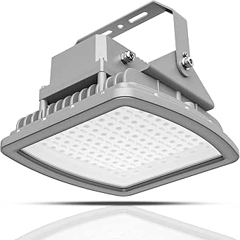 200W Explosion-Proof LED Flood Light, Class I Division 2 & UL Certified, 5000K 100-277V, IP68 ...