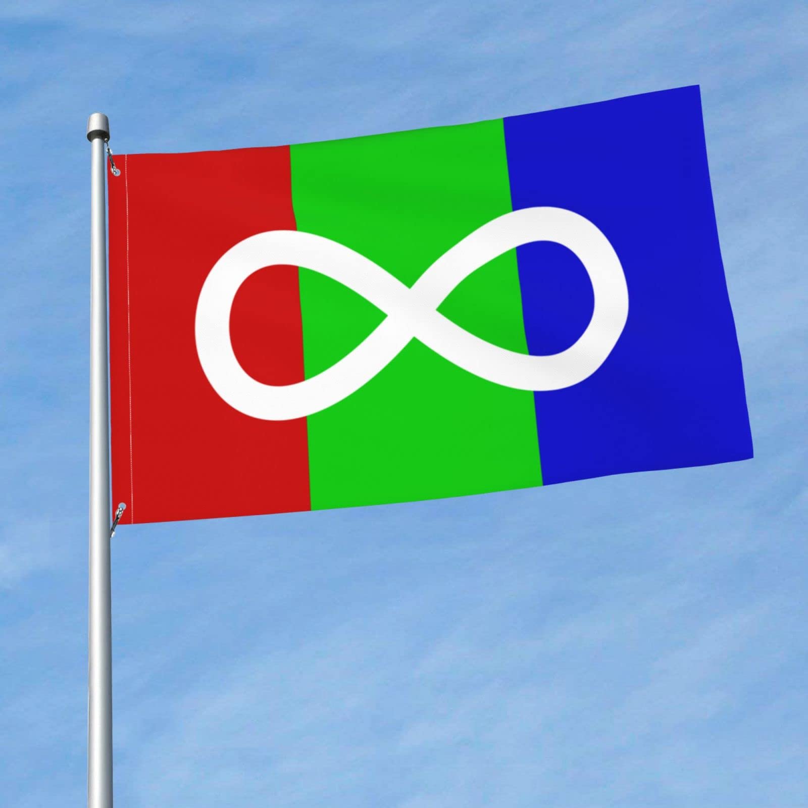 Disability Pride Flag Banner