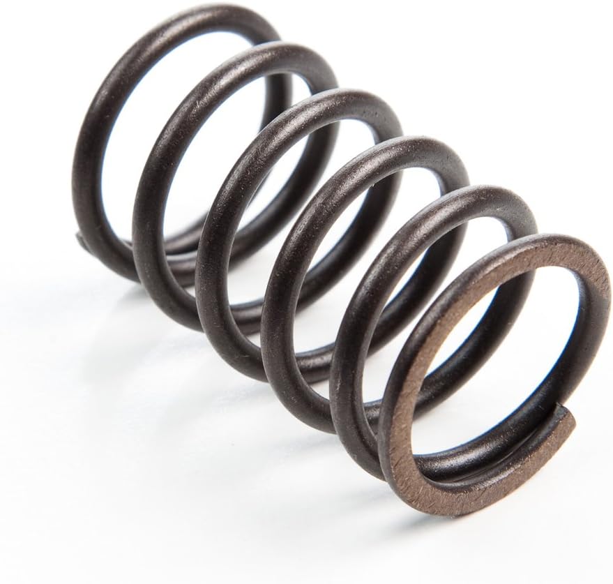 Amazon.com : Briggs & Stratton 691605 Valve Spring Replaces 65906 ...