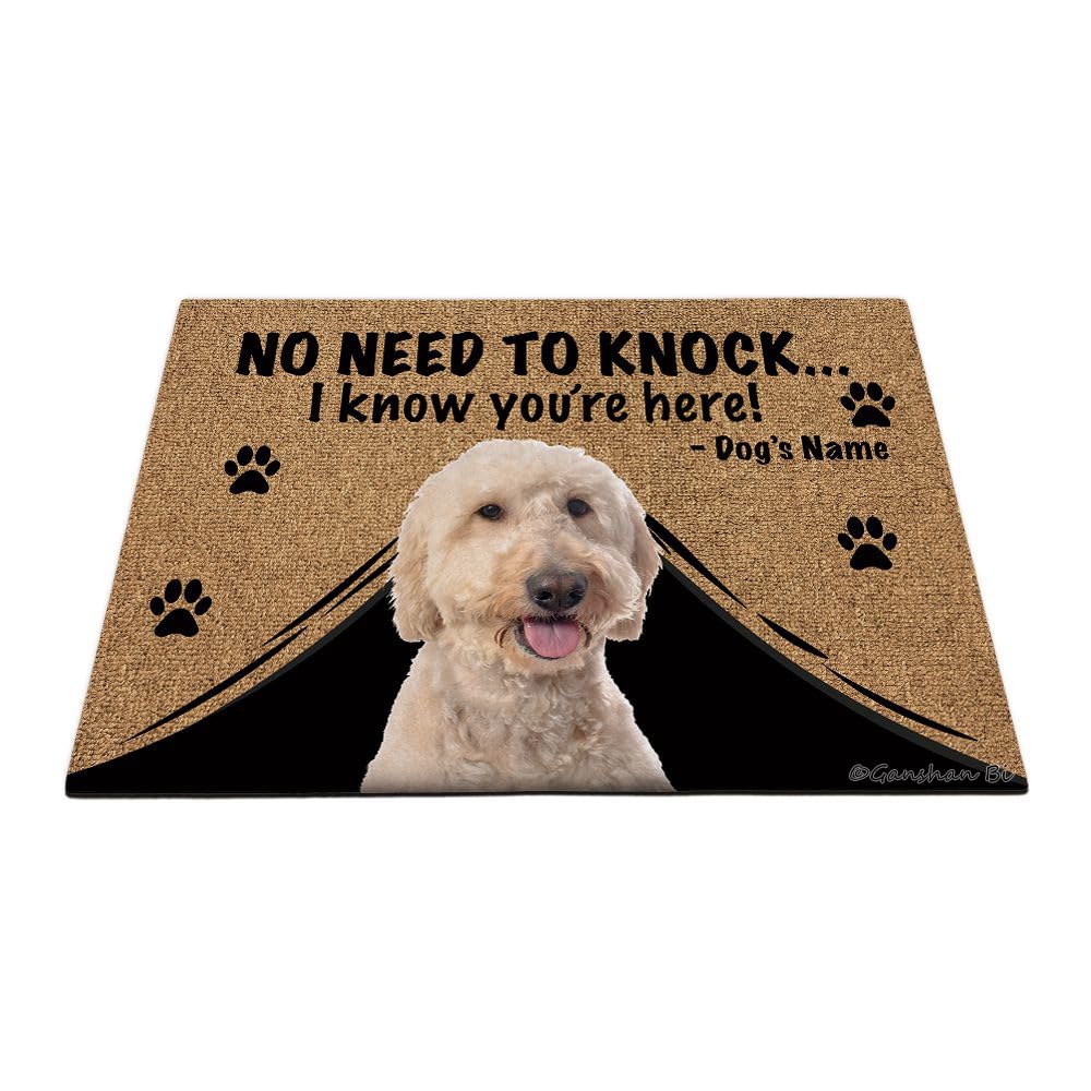 Amazon.com: Ganshan Bi Personalized Door Mat with Funny Dog ...