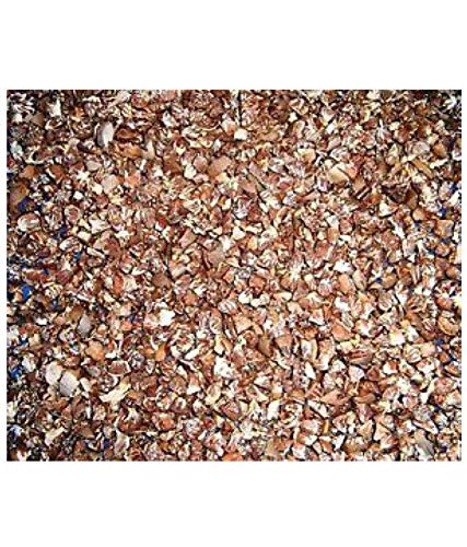 Simply Raw Areca Nut Bites Betel Nuts Tukda Supari Tukda | Areca Nut ...
