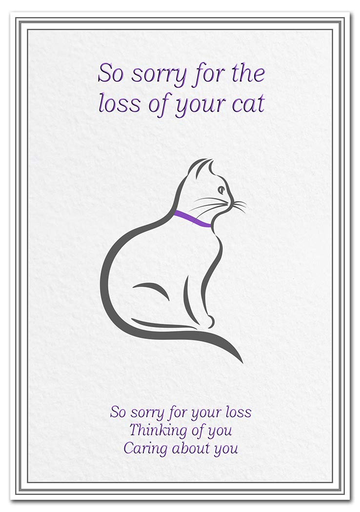 Buy Loss of Pet Cards – Loss of Cat Card – Condolence Sympathy Card for ...