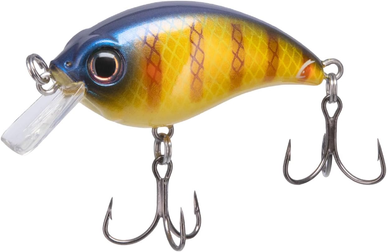 Amazon.com : Bill Lewis ATV Squarebill Crankbait Fishing Lifelike ...