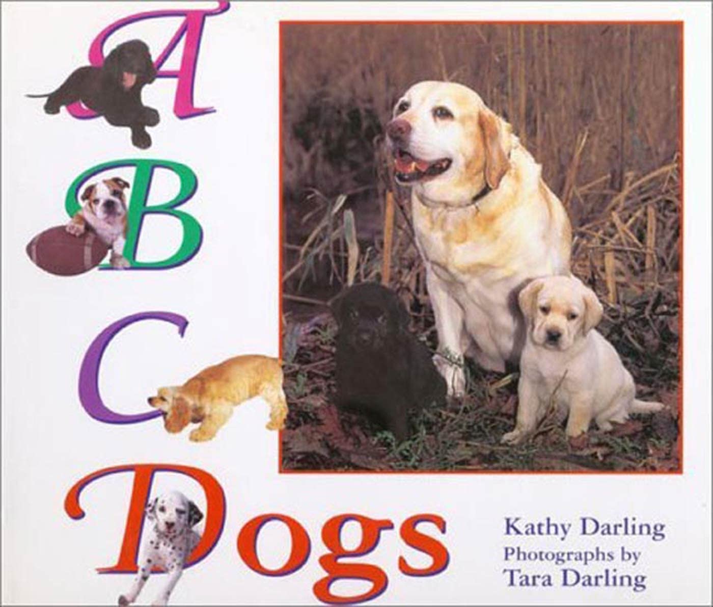 ABC Dogs: Darling, Kathy, Darling, Tara: 9780802776655: Amazon.com: Books