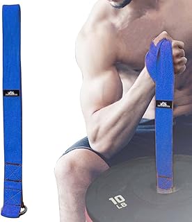 Understanding Forearm Supination: The Role Of The Biceps Brachii Muscle | CyVigor