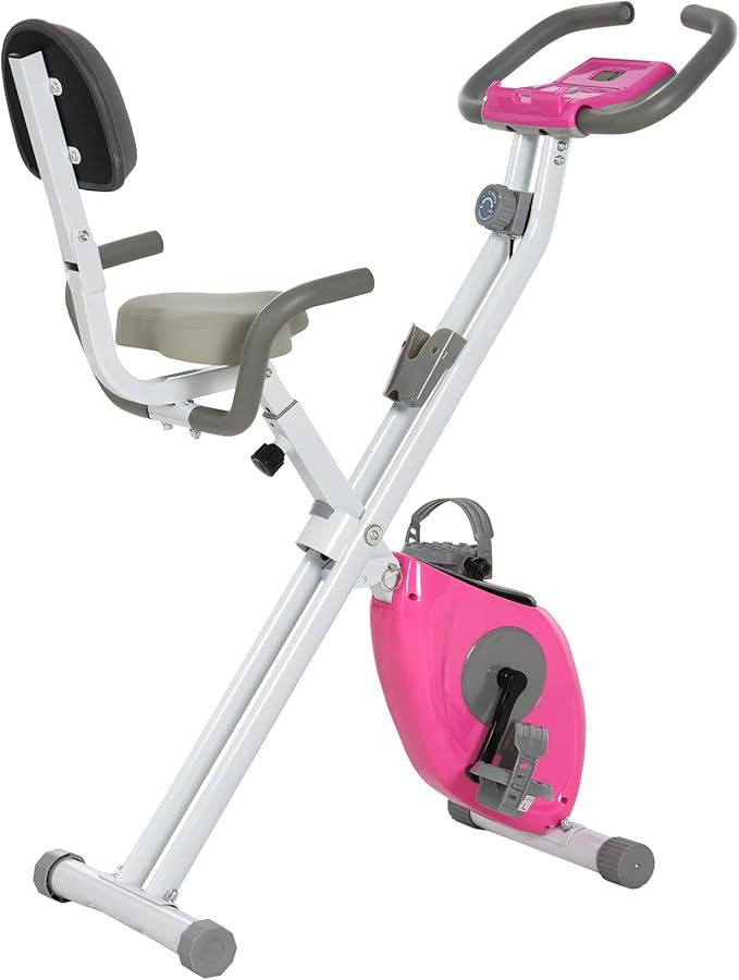 Soozier Foldable Exercise Bike with 8 Level Quiet Magnetic Resistance ...