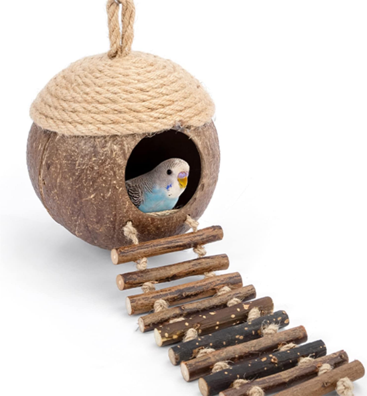 Amazon.com : Dlhbafuya Coconut Birdhouse Coconut Shell Climbing nest ...