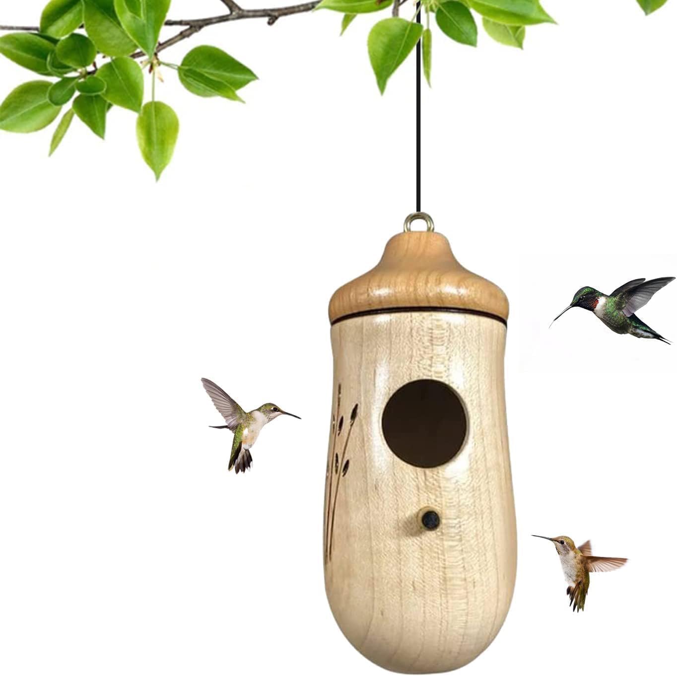 Spannende Fliegen Nisten Im Holz Bild