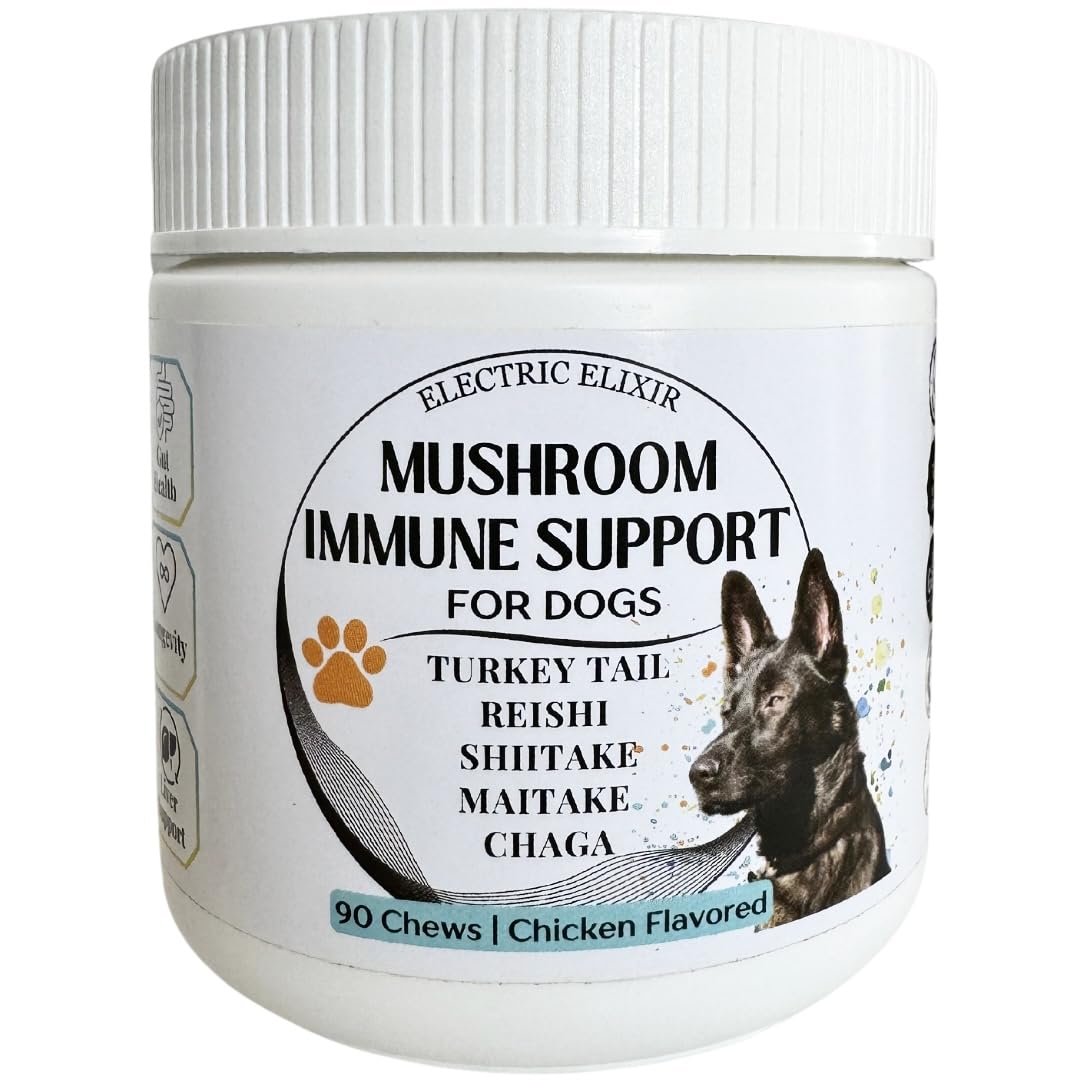 Amazon.com : Dogs Immune Support Mushroom Supplement - Supports ...