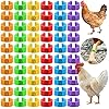 Amazon.com : Bygytyo 240 Pieces Chicken Leg Rings Multiple Color ...