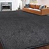 RTBQJ-AT Large Rugs for Living Room 200x300 cm Microfiber Fluffy Dark ...