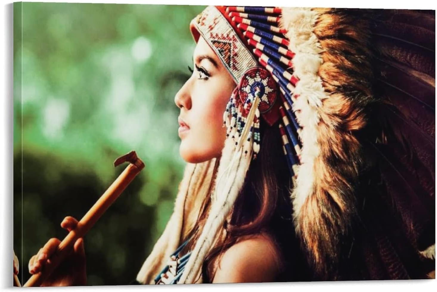 Amazon.com: Native American Indian Girl Art Poster Wall Decor Wall Art ...
