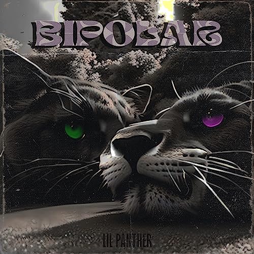 Amazon.co.jp: Bipolar : Lil Panther: Digital Music