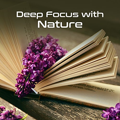 Deep Focus with Nature – Sounds for Study, Power of Mind, Perfect ...