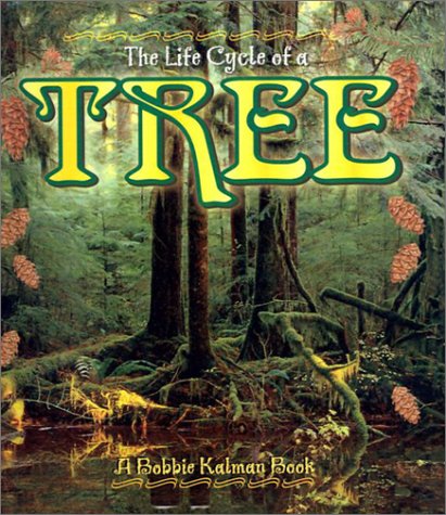 The Life Cycle of a Tree : Kalman, Bobbie: Amazon.es: Libros