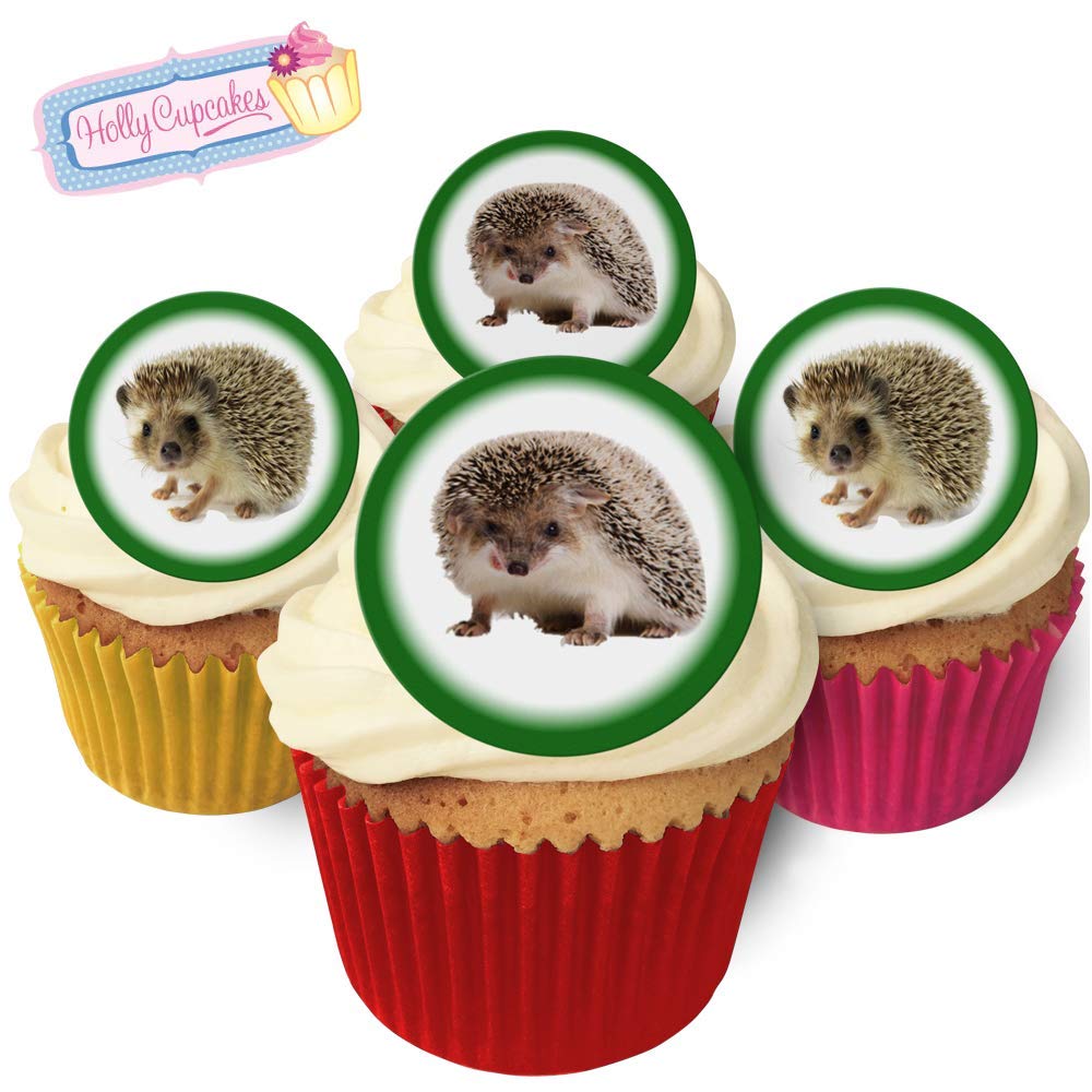 Amazon.com: 24 Fabulous Pre-Cut Edible Wafer Cake Toppers: Hedgehogs ...