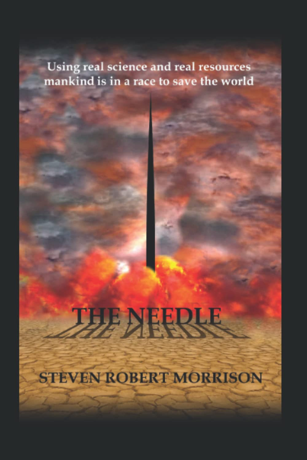 The Needle: A Novel of the End: Morrison, Steven Robert: 9780991697915 ...