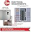 Rheem Rtex 24 24kw 240v Electric Tankless Water Heater Gray ...