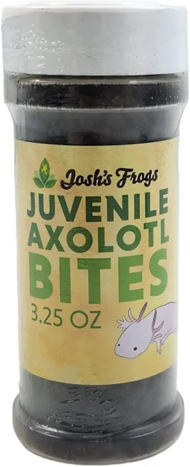 Is An Axolotl Poisonous? Here's What You Need To Know | PetShun