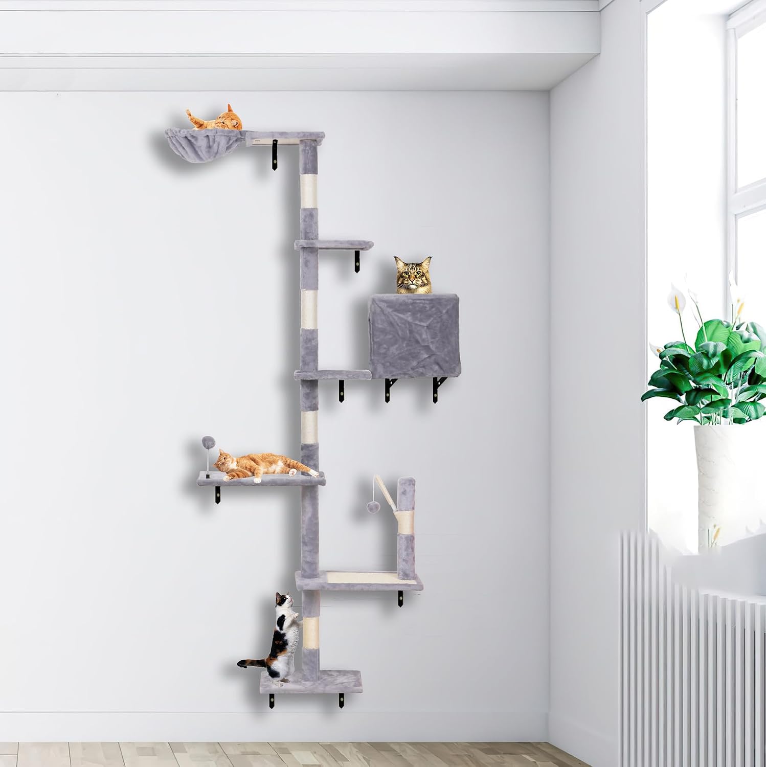 Wall Mounted Cat Climber Set, Modern Cat Furniture with ScratchingPost ...