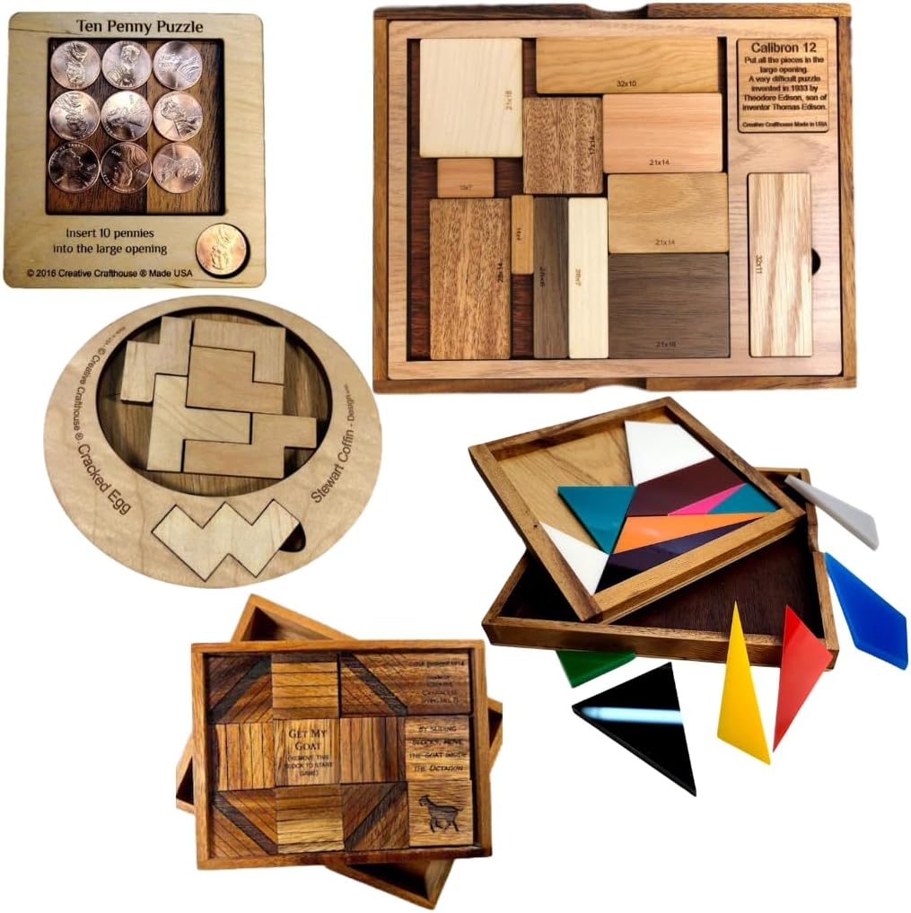 Amazon.com: Ultimate Puzzle Bundle Gift Set - 5 Different Wooden Brain ...