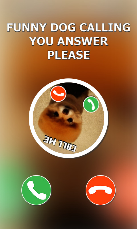 Dog Calling Memes