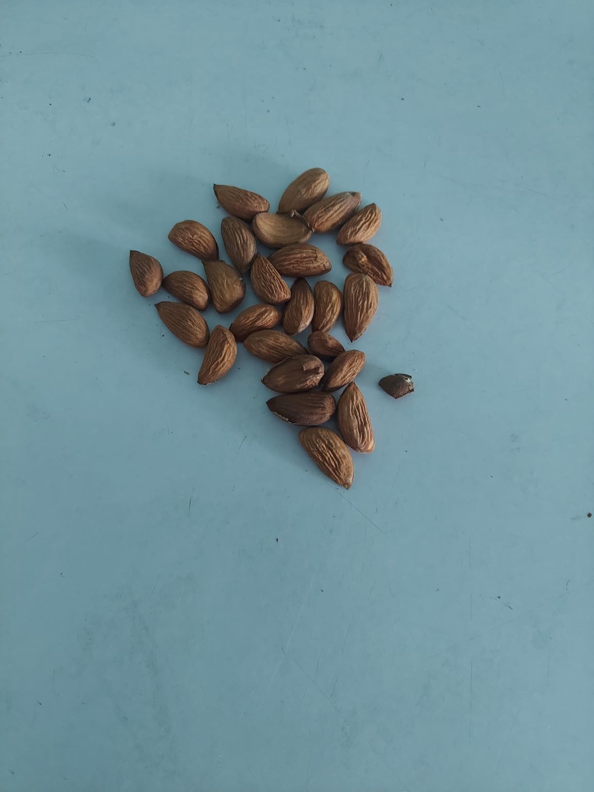 Snow Hills Kashmir Mamra Almonds (Pack of 4, 1Kg) - 100% Pure Almonds ...