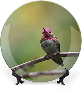 Amazon.com: 7inch Decorative Wall Plates, Round Plate with Display ...