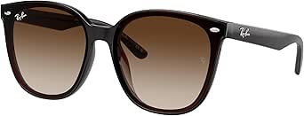 Ray-Ban RB4423D Sunglasses Bundle: RB 4423D 714/13 Transparent Brown ...